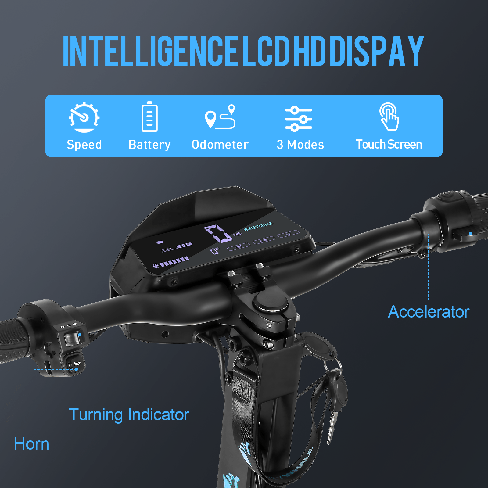 75KM-2400W-Touch Screen-70KM/H-11" Tubeless Tire-Key Lock-Off-Road ...